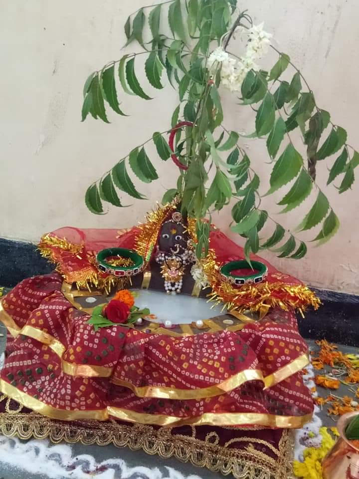 Teej – Maheshwari Mahasabha of North America